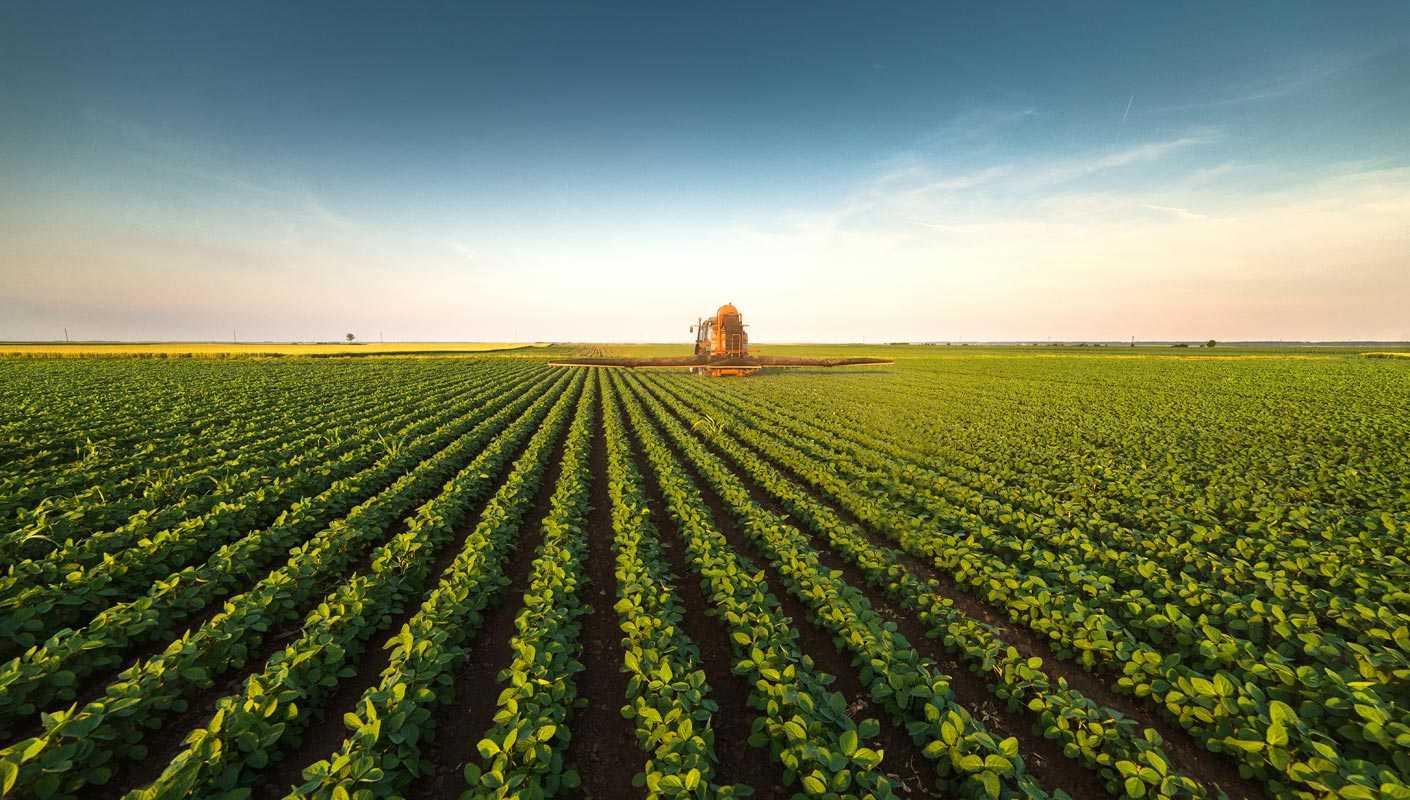 Isagro - Completa la cessione di Fluindapyr a FMC per 55 mln | Market ...